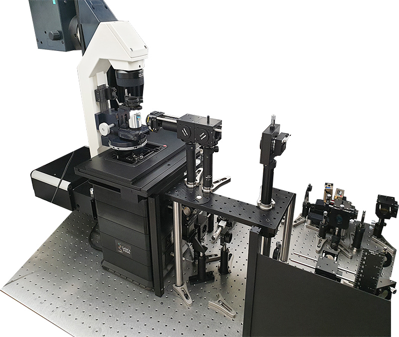 Custom Designs - Gataca Systems